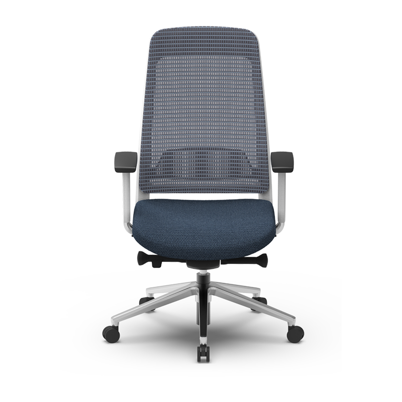 Elegant Office Chairs for Modern Workspaces | Vision